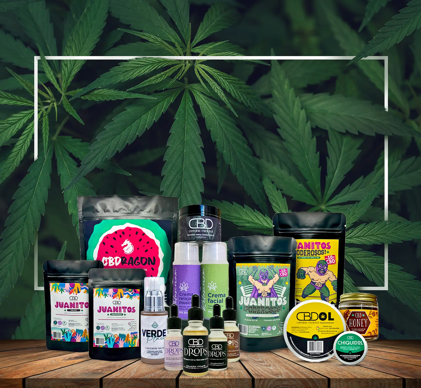 ¡Bienvenidos a Efecto CBD! - Efecto CBD